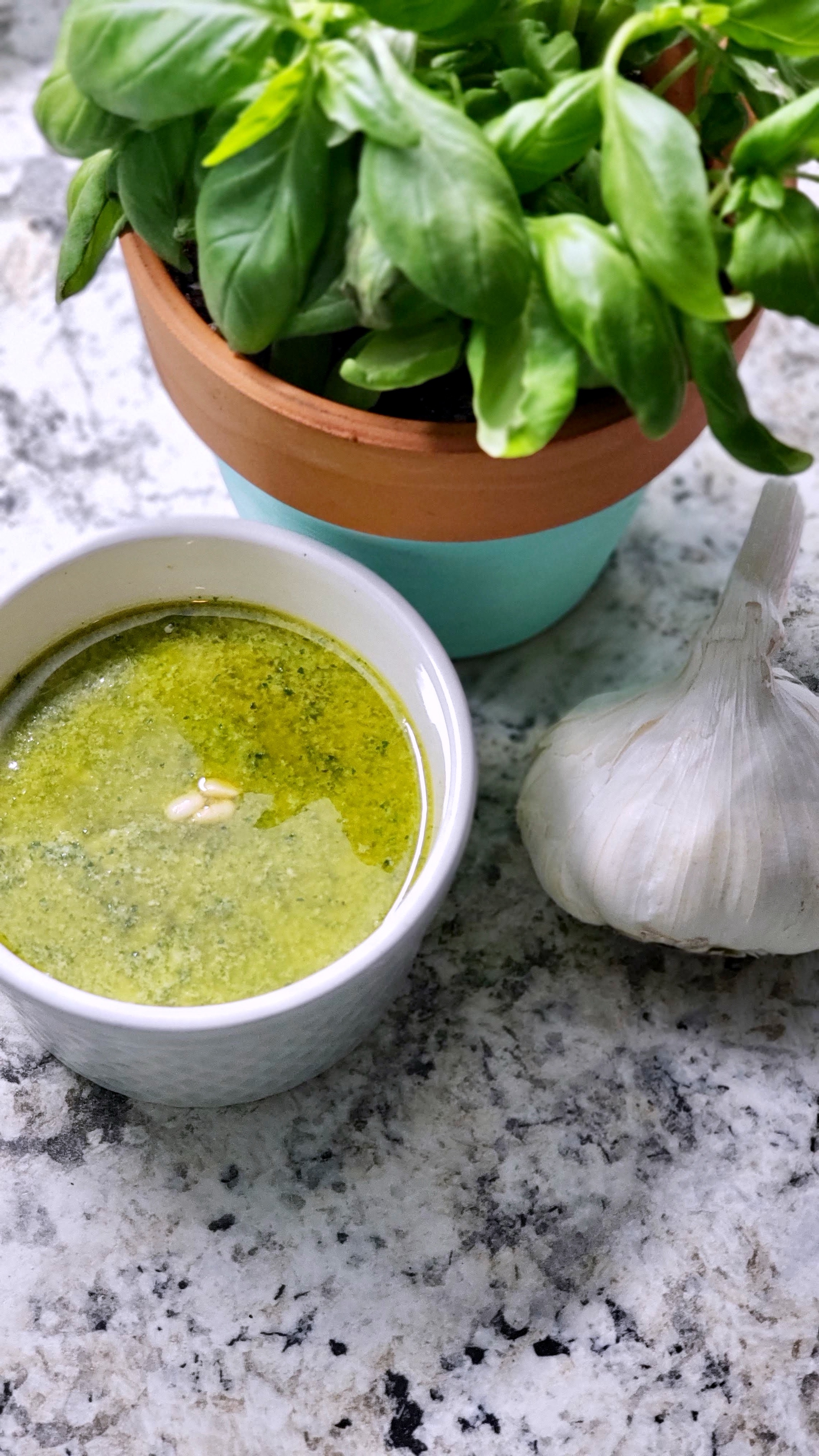 Garlic Pesto – The Cooking Cactus